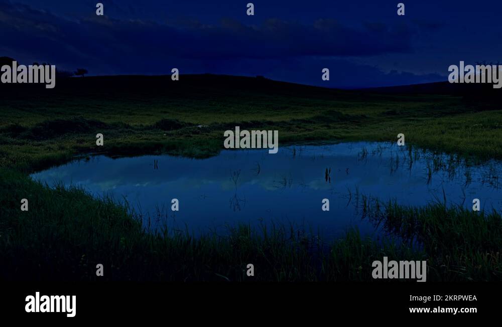 Pond moonlight Stock Videos & Footage - HD and 4K Video Clips - Alamy