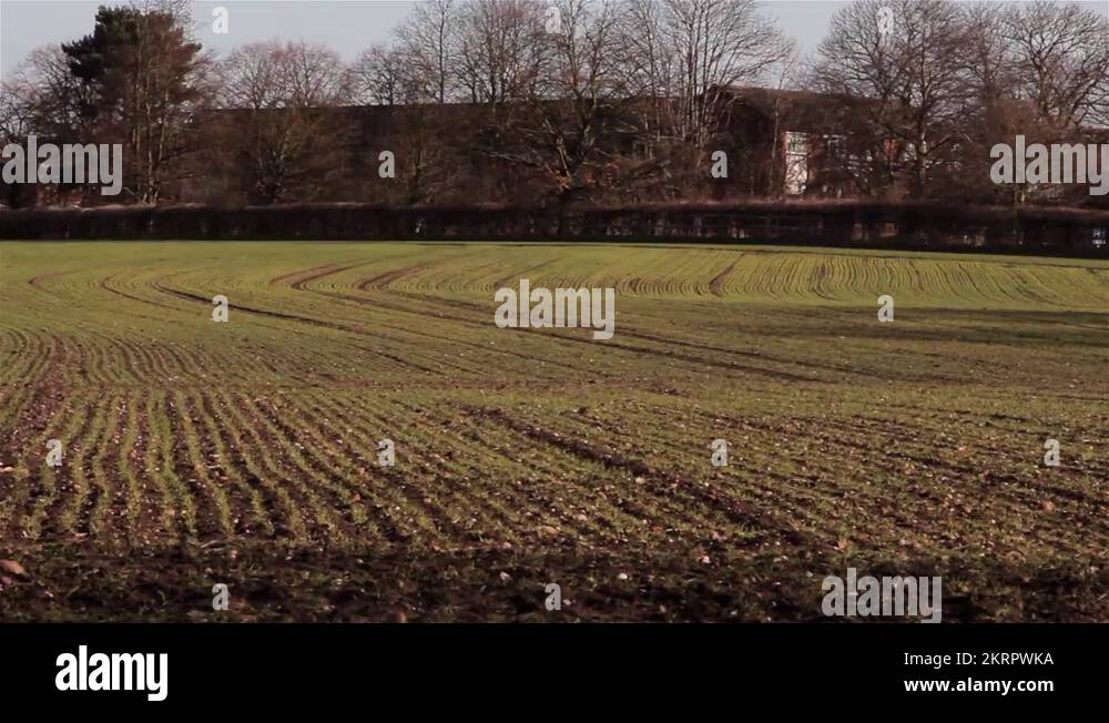 Farmed field with tree Stock Videos & Footage - HD and 4K Video Clips ...