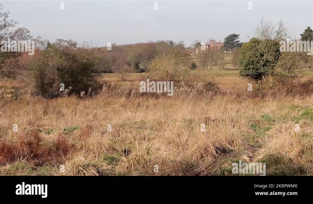 Historic english country house estate house stately home Stock Videos ...