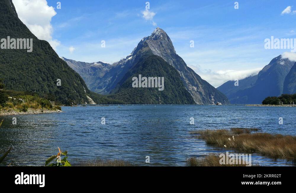 New Zealand Milford Sound Mitre Peak and marsh grasses Stock Video ...