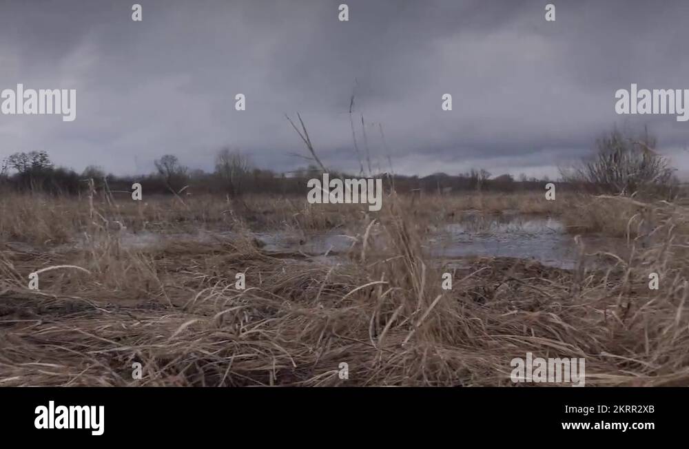 Flooded River in Prairie and Dramatic Sky Background.. 4K UltraHD, UHD ...