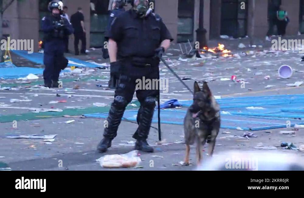 1080p 24fps - K9 officer with gas mask at riot - HD 1080p Stock Video ...
