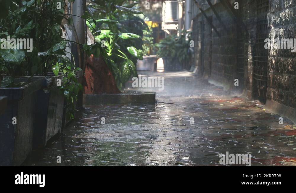 Bombay rain Stock Videos & Footage - HD and 4K Video Clips - Alamy