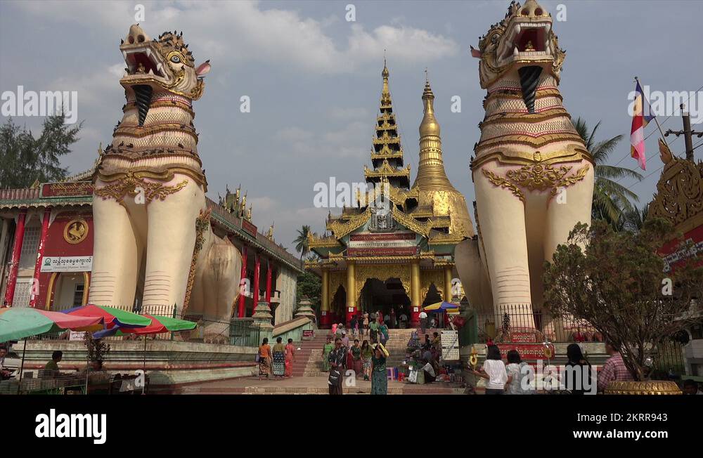 Burmese lion Stock Videos & Footage - HD and 4K Video Clips - Alamy