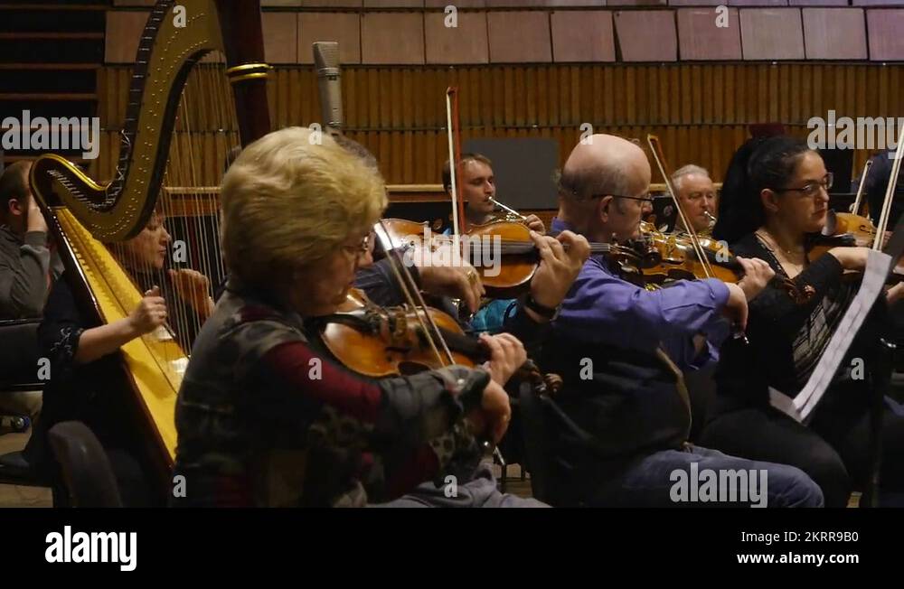 Orchestral musicians Stock Videos & Footage - HD and 4K Video Clips - Alamy