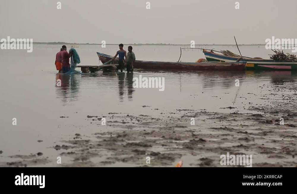 Men washing the fish net in the ocean water in Sri Lanka Stock Video ...