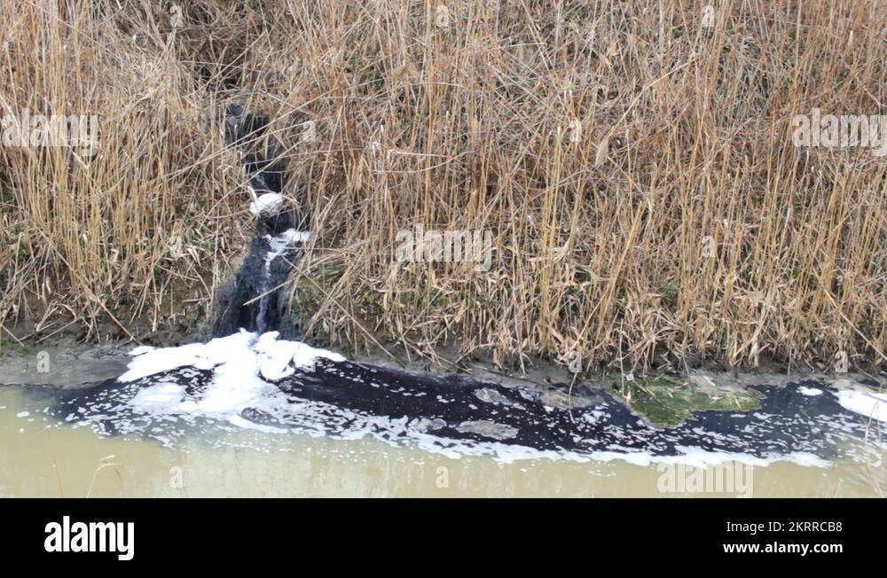 Chemical waste river pollution Stock Videos & Footage - HD and 4K Video ...