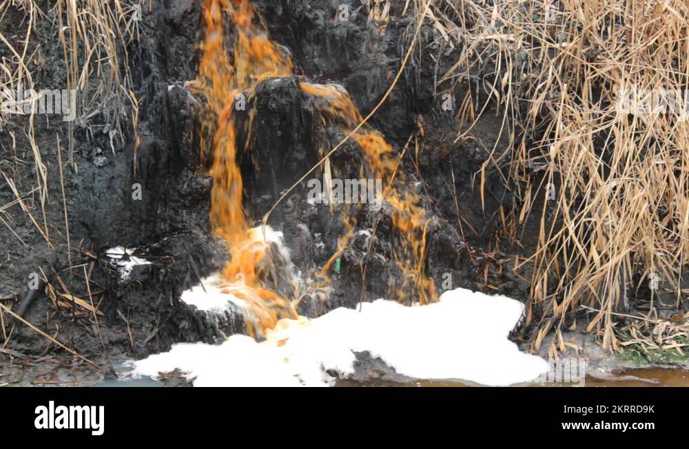 Smelly waste Stock Videos & Footage - HD and 4K Video Clips - Alamy