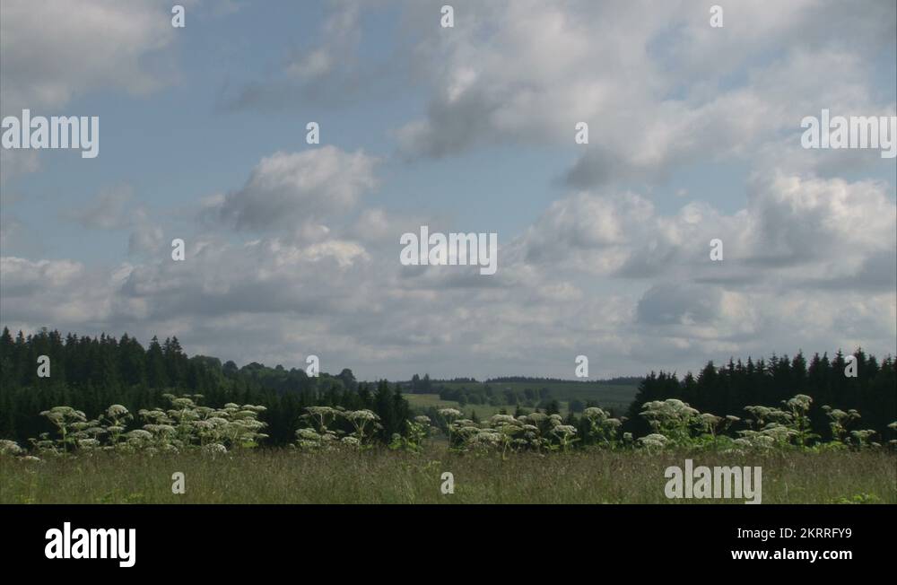 Country scenery Stock Videos & Footage - HD and 4K Video Clips - Alamy