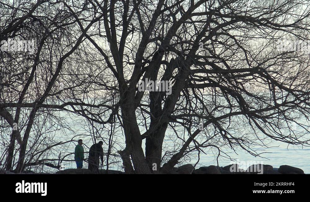 4k nature footage Stock Videos & Footage - HD and 4K Video Clips - Alamy