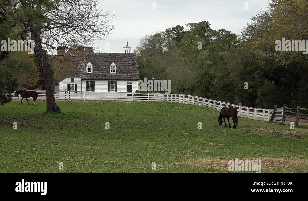 Colonial Williamsburg Virginia historic horse farm 4K 022 Stock Video ...