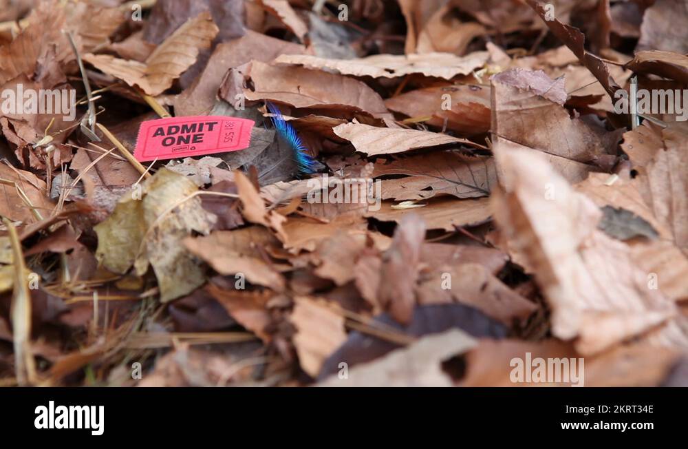 Ticket pile Stock Videos & Footage - HD and 4K Video Clips - Alamy