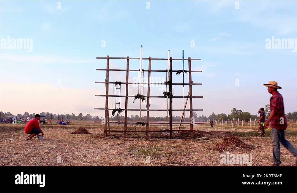 Dust bun Stock Videos & Footage - HD and 4K Video Clips - Alamy