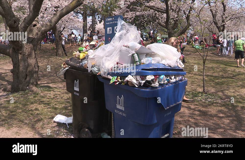 Overflowing bins Stock Videos & Footage - HD and 4K Video Clips - Alamy