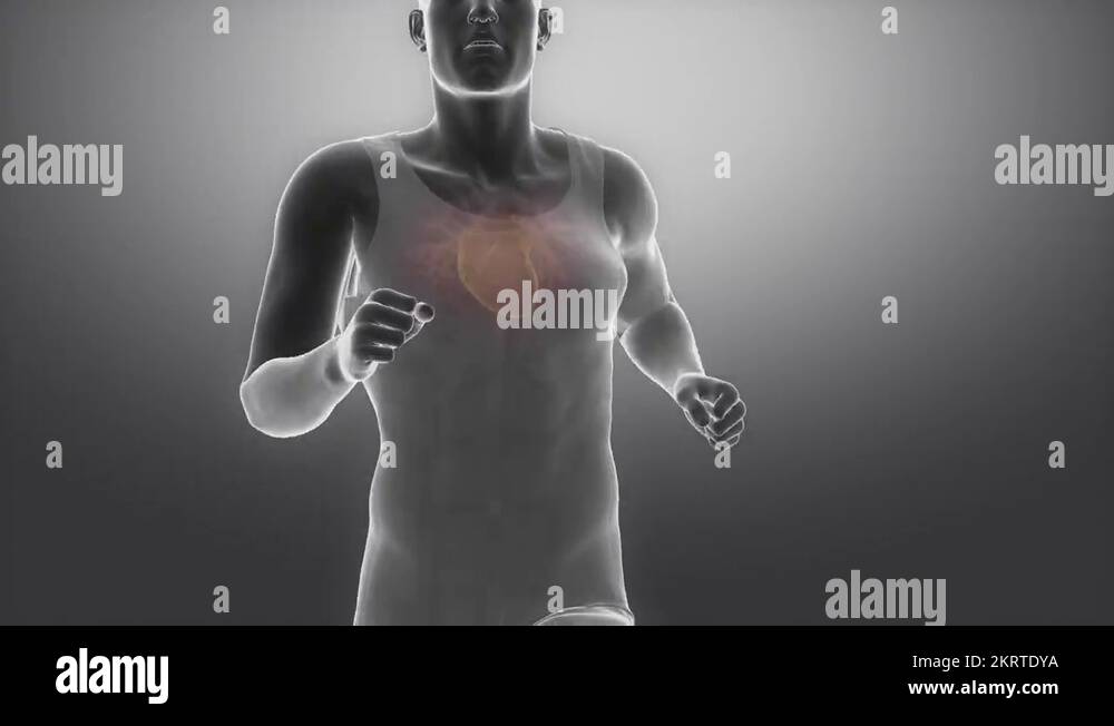 Running man with beating heart in loop Stock Video Footage - Alamy