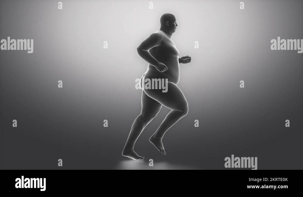 Obesity anatomy Stock Videos & Footage - HD and 4K Video Clips - Alamy
