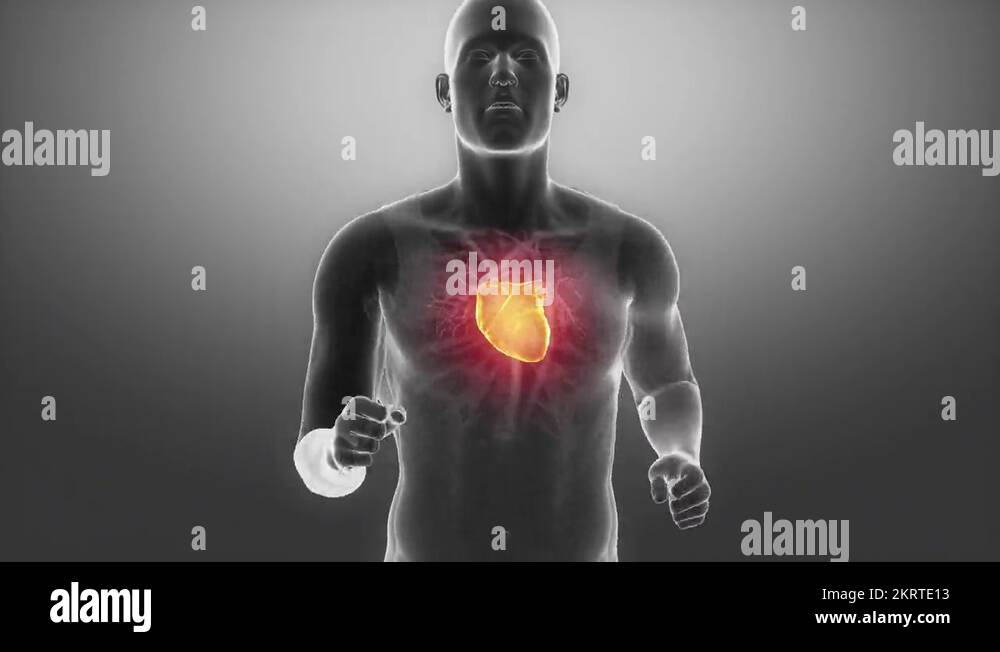 Running man with beating heart in loop Stock Video Footage - Alamy