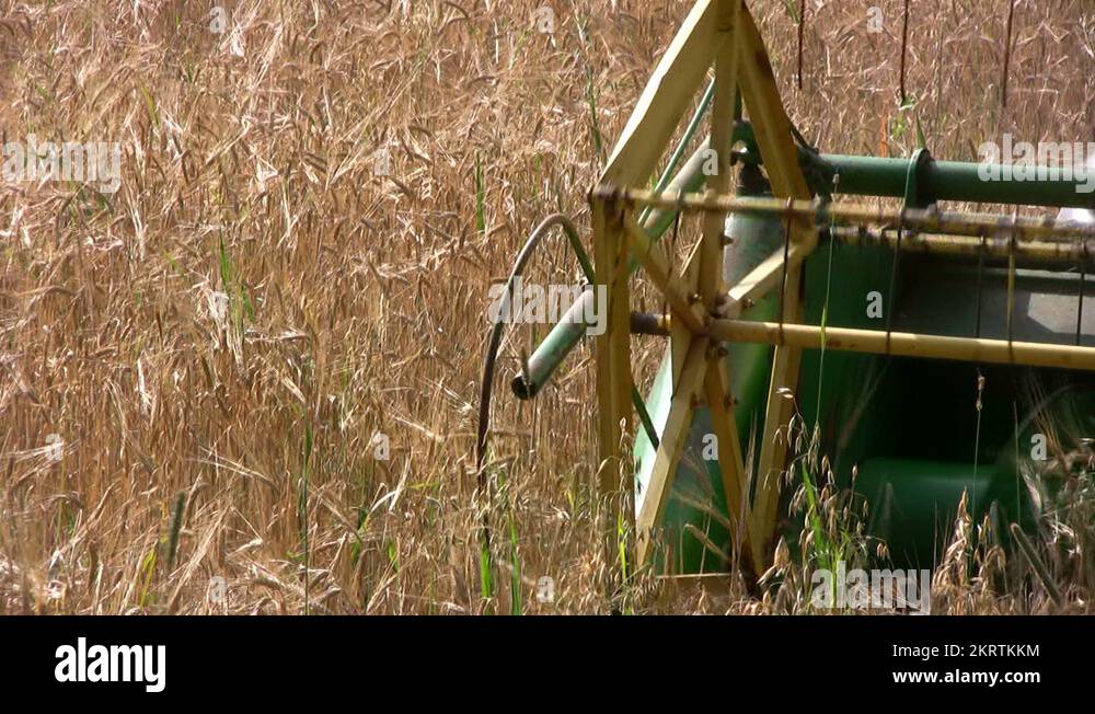 Barley harvest Stock Videos & Footage - HD and 4K Video Clips - Alamy
