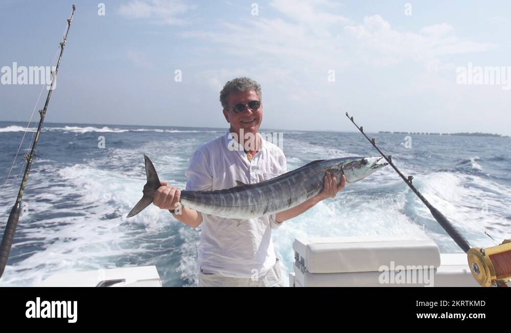 Man holding big fish Stock Videos & Footage - HD and 4K Video Clips - Alamy