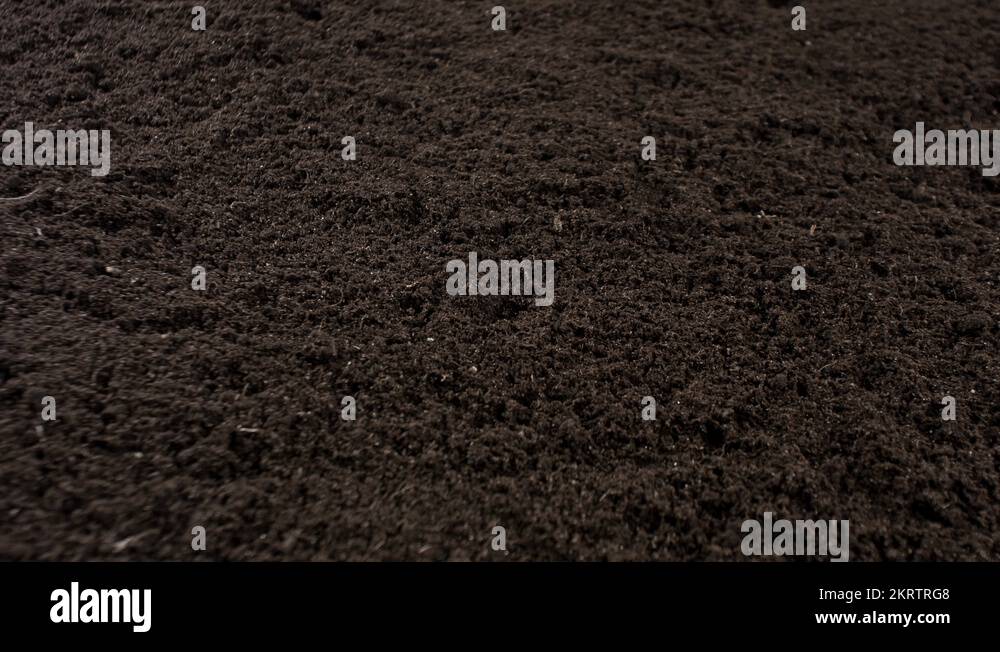 Ground nature background 4k Stock Video Footage - Alamy