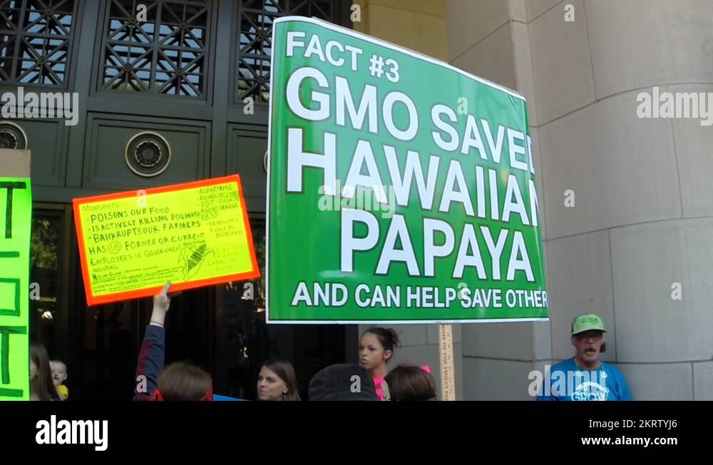 Gmos Stock Videos & Footage - HD and 4K Video Clips - Alamy