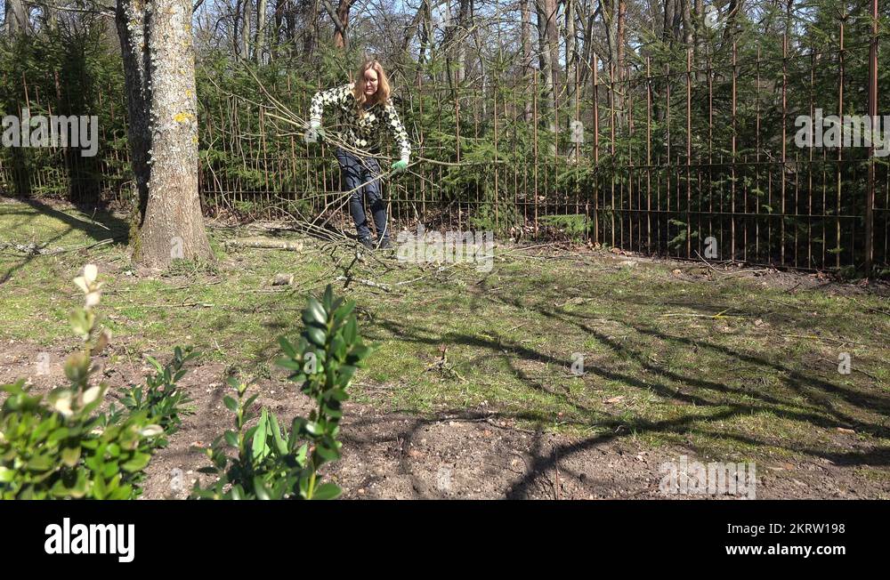 Female gardener farmer pick cut fruit tree branch and carry. 4K Stock ...