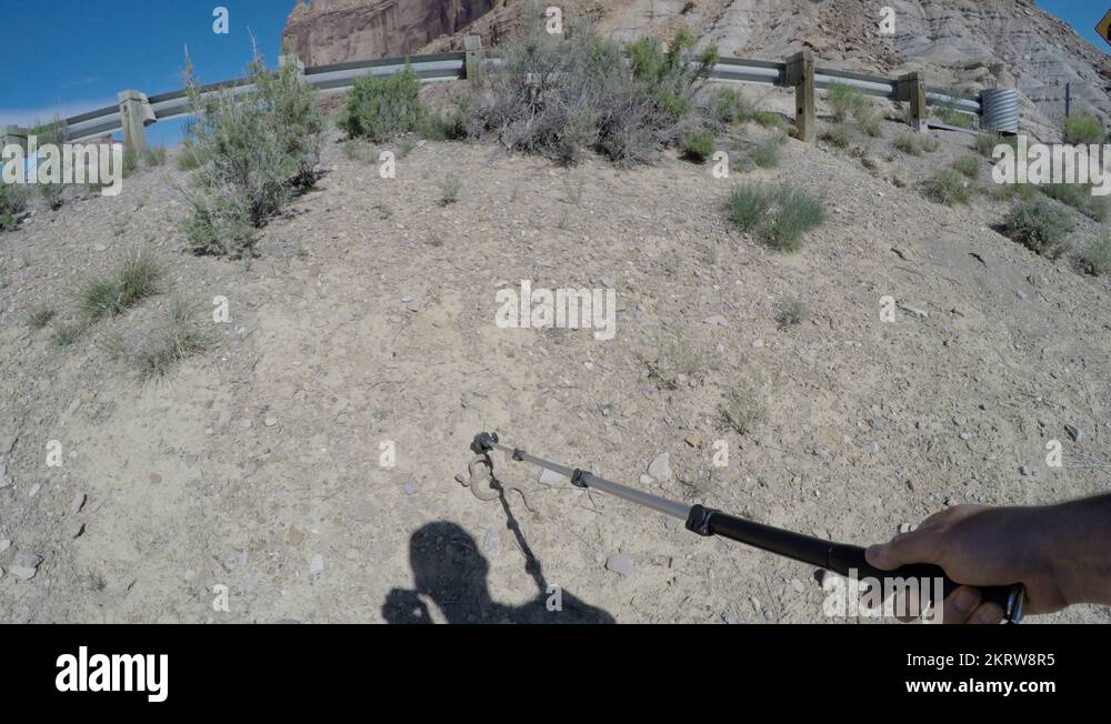 Man a rattle snake Stock Videos & Footage - HD and 4K Video Clips - Alamy