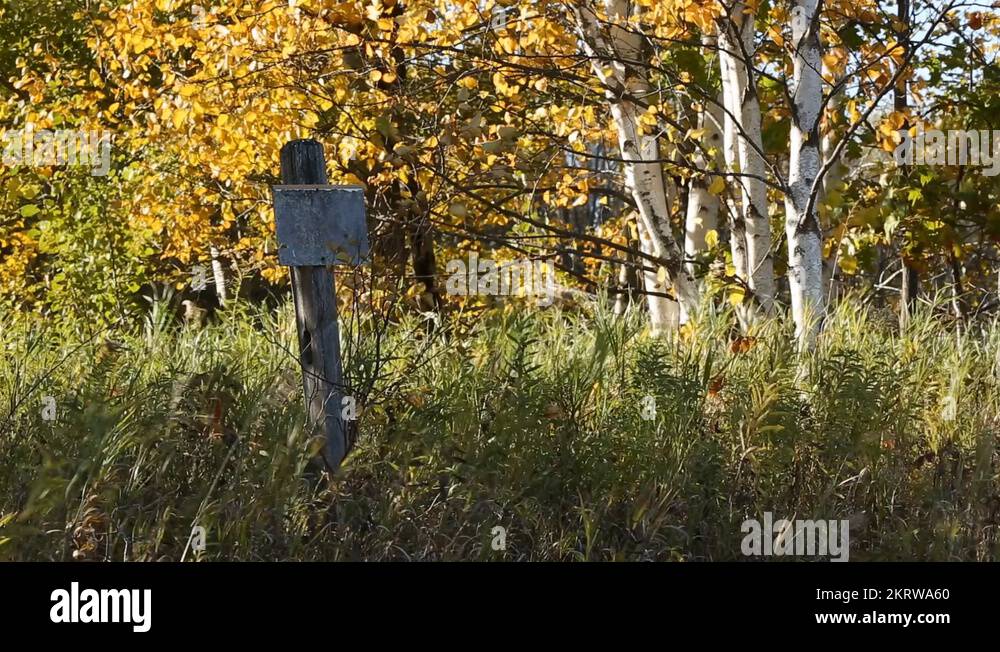 Faded wood fence Stock Videos & Footage - HD and 4K Video Clips - Alamy