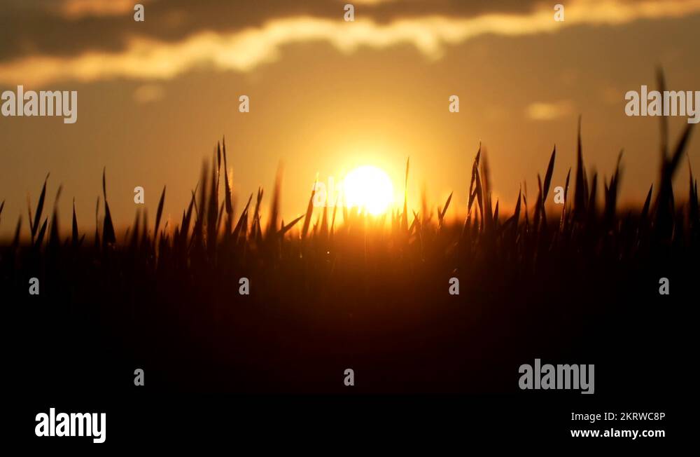 Summersun Stock Videos & Footage - HD and 4K Video Clips - Alamy
