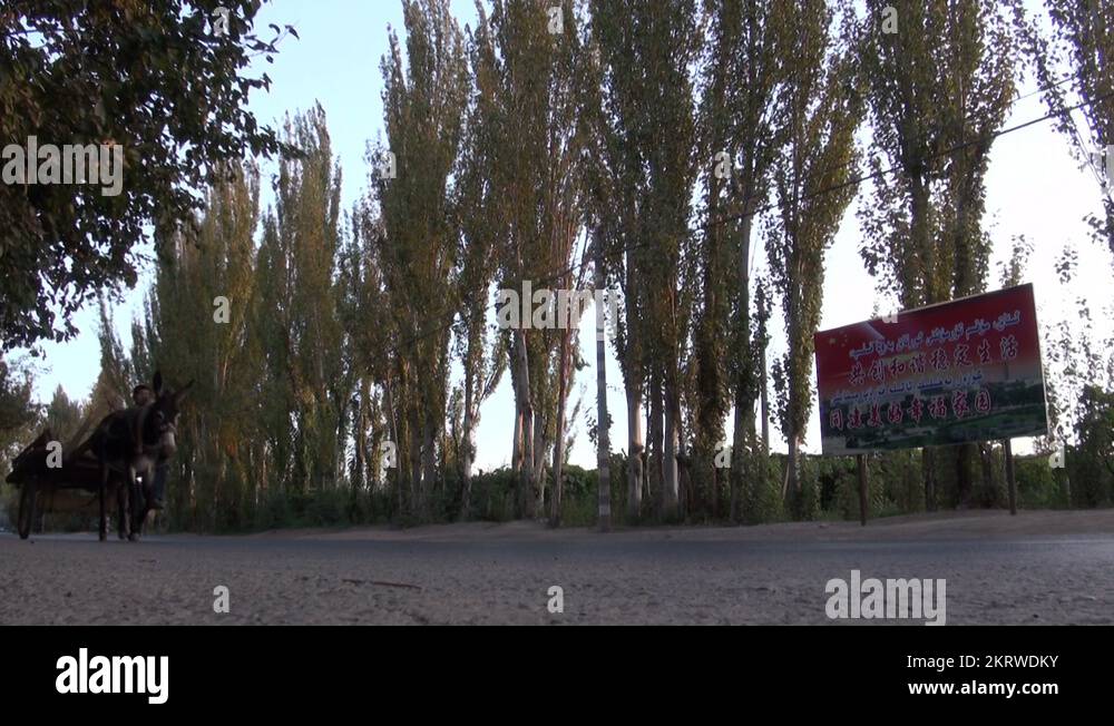 Traditional slogan Stock Videos & Footage - HD and 4K Video Clips - Alamy