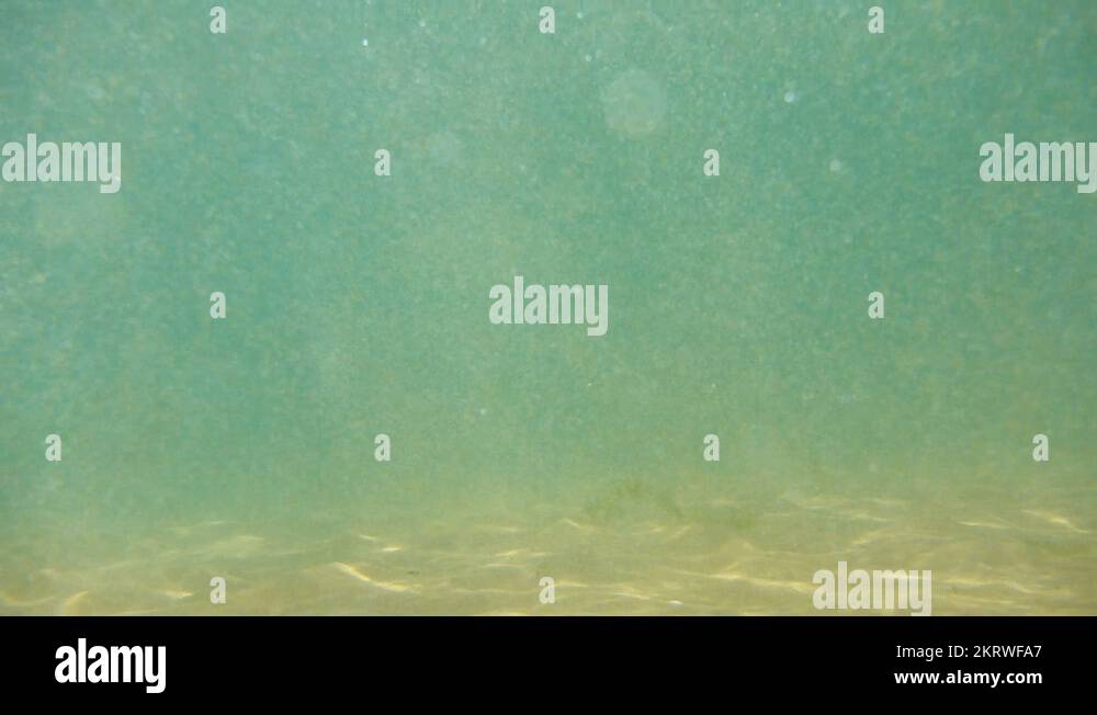 Underwater shallow sea water with refraction of the sun rays Stock ...