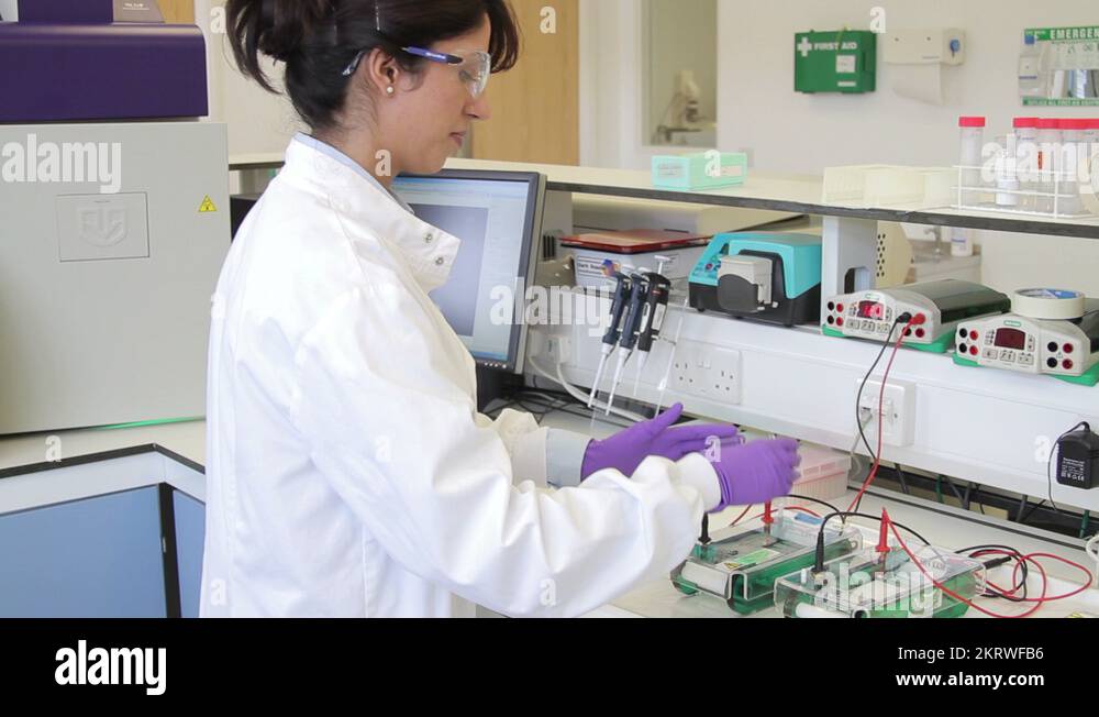 Scientist doing test on gel image analyzer and looks at DNA on screen ...