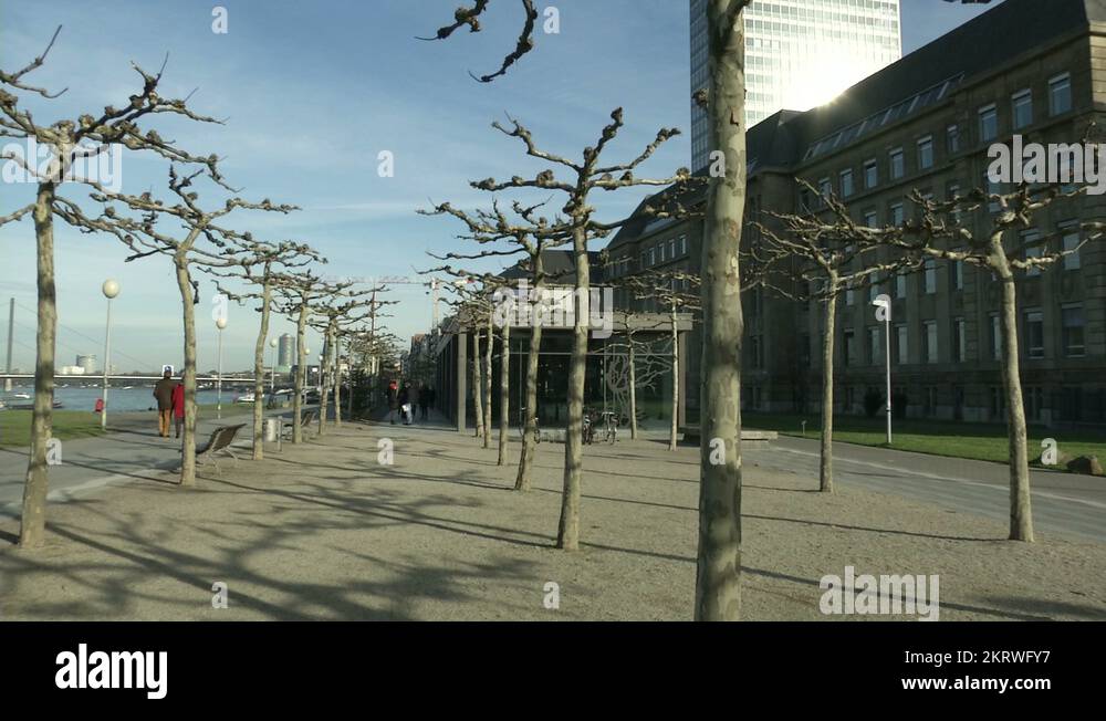 Rhine river walk Stock Videos & Footage - HD and 4K Video Clips - Alamy