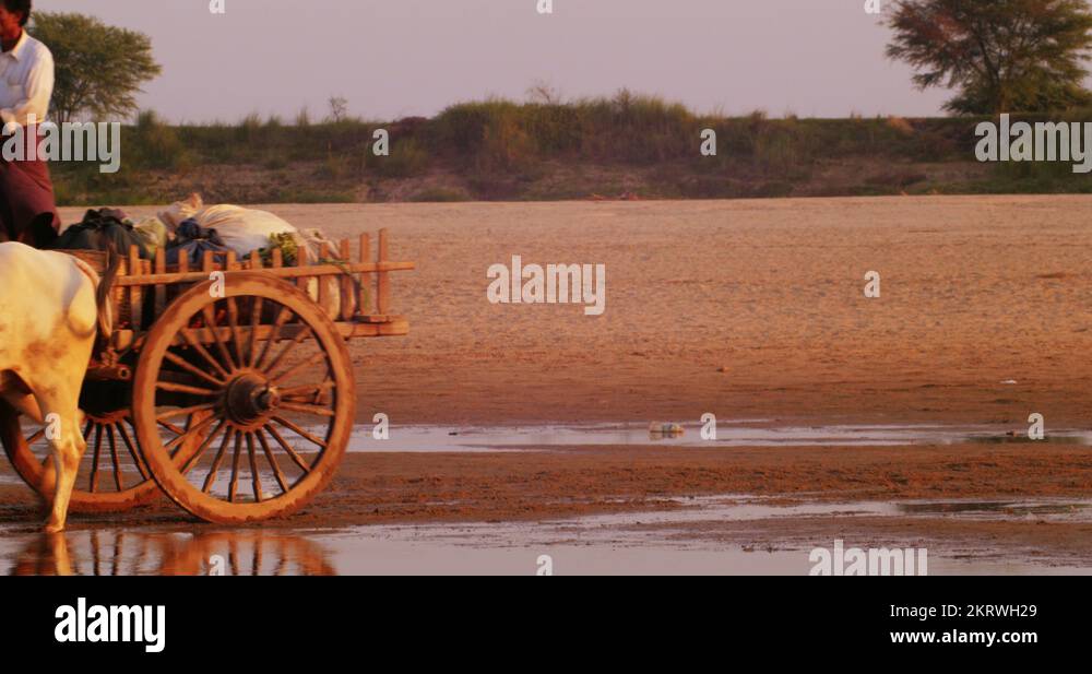 Bullock cart wheel Stock Videos & Footage - HD and 4K Video Clips - Alamy