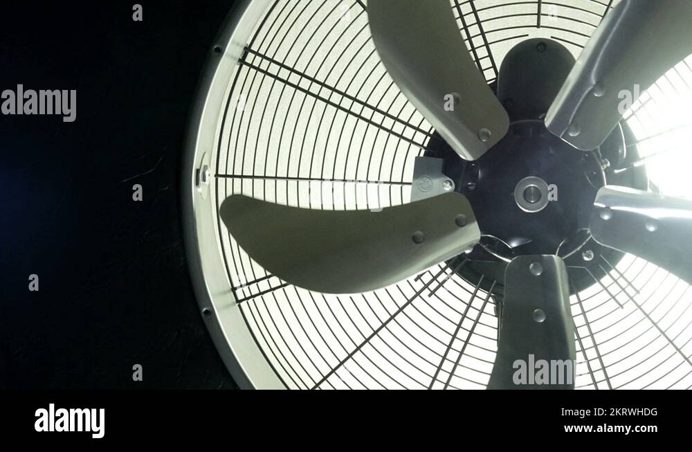 Fan palette Stock Videos & Footage - HD and 4K Video Clips - Alamy