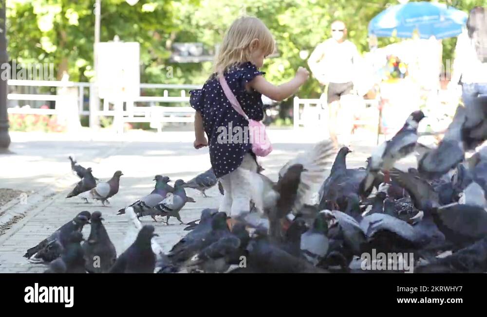 Little girl playing with street pigeons and they fly around Stock Video ...