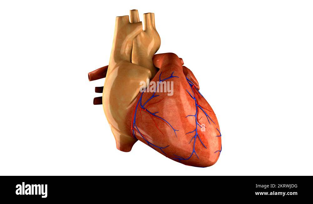 Rotation loopable Stock Videos & Footage - HD and 4K Video Clips - Alamy
