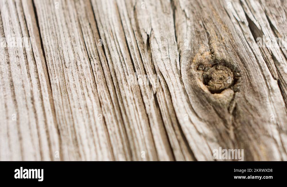 Macro very old wood texture 4k Stock Video Footage - Alamy