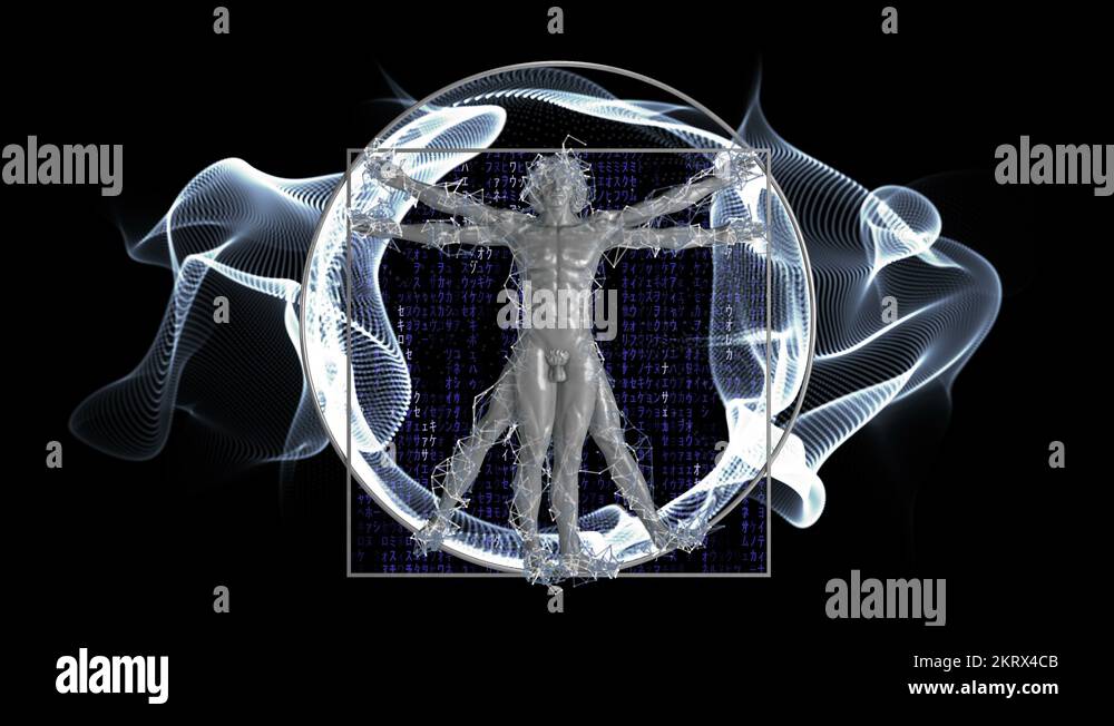 Proportions of man Stock Videos & Footage - HD and 4K Video Clips - Alamy