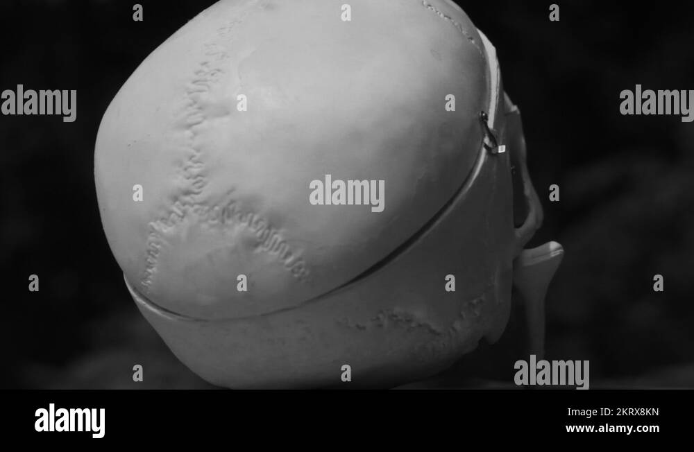 Black and white of skull Stock Videos & Footage - HD and 4K Video Clips ...