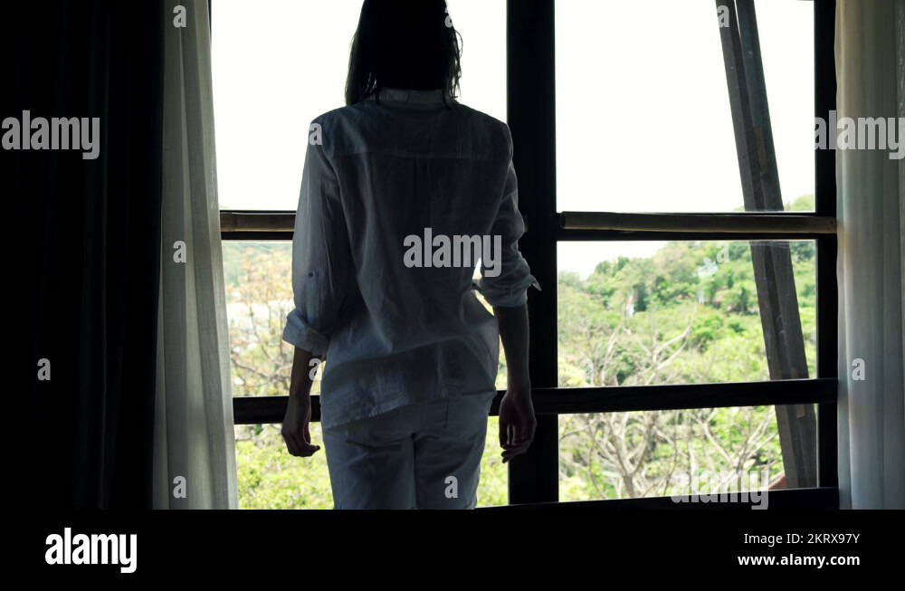 Woman silhouette inside rear view Stock Videos & Footage - HD and 4K ...