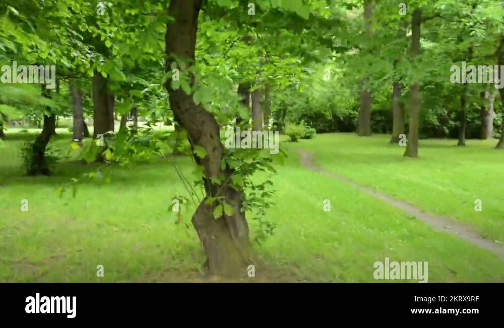 Paradise park Stock Videos & Footage - HD and 4K Video Clips - Alamy