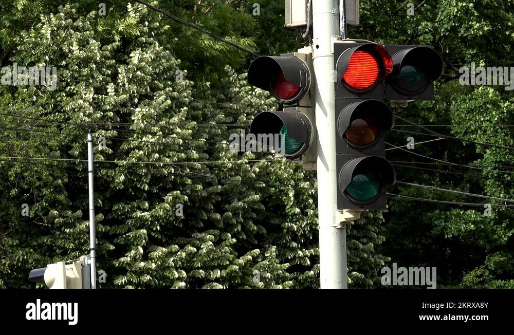 traffic lights - closeup - trees in background Stock Video Footage - Alamy