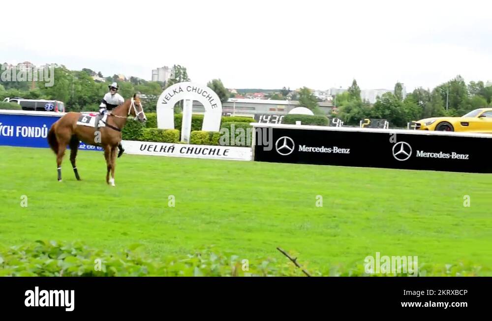 Races jockey Stock Videos & Footage - HD and 4K Video Clips - Alamy