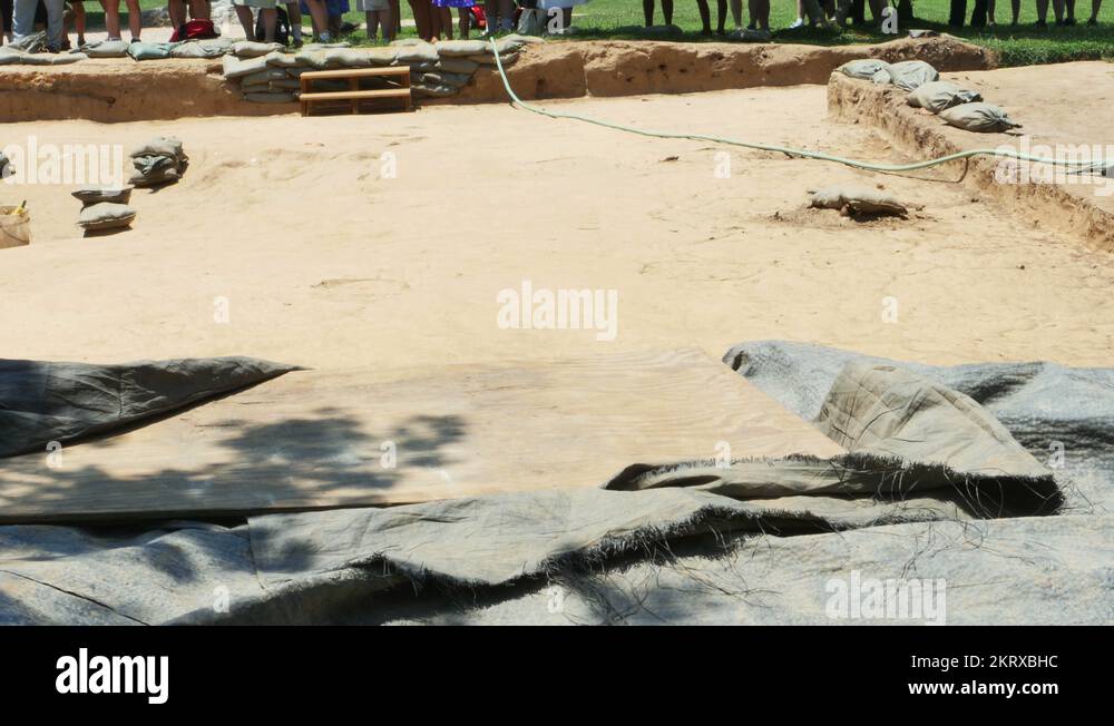 Archaeologist dig Stock Videos & Footage - HD and 4K Video Clips - Alamy