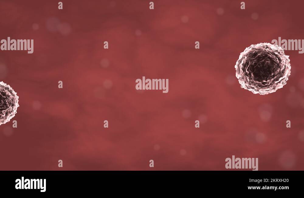 Human cells mitosis Stock Videos & Footage - HD and 4K Video Clips - Alamy