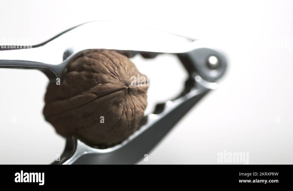 Walnuts in colour Stock Videos & Footage - HD and 4K Video Clips - Alamy
