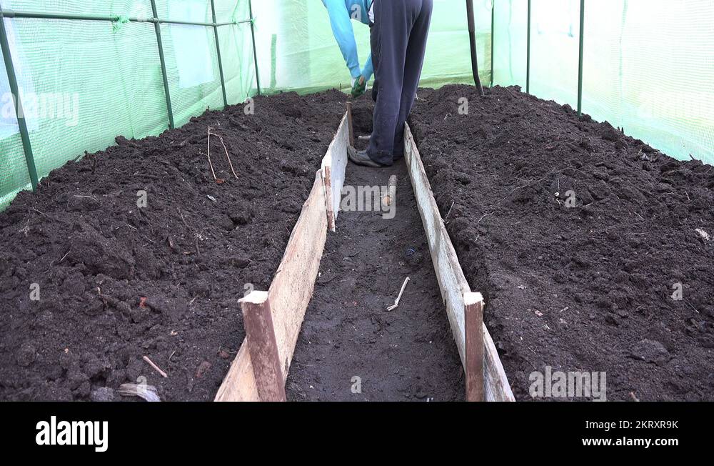 Hammer and stake Stock Videos & Footage - HD and 4K Video Clips - Alamy