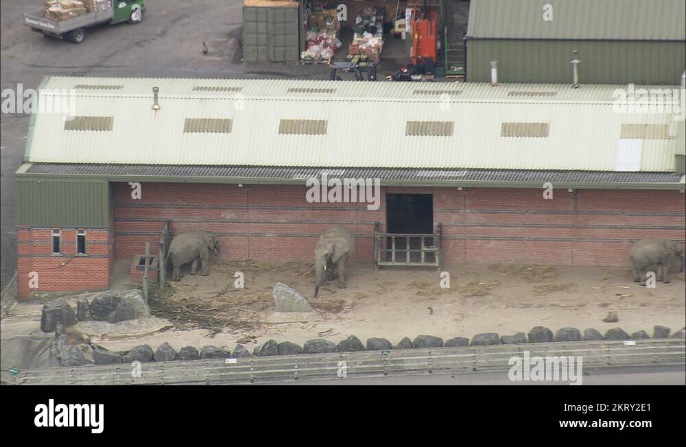 Knowsley liverpool Stock Videos & Footage - HD and 4K Video Clips - Alamy