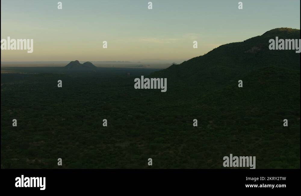 African forest Stock Videos & Footage - HD and 4K Video Clips - Alamy